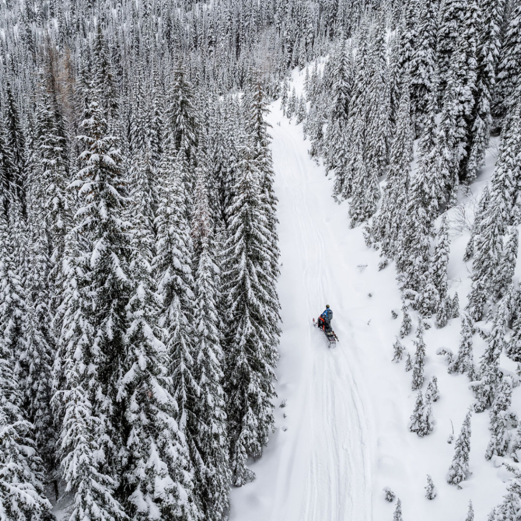 Forecasts - Flathead Avalanche